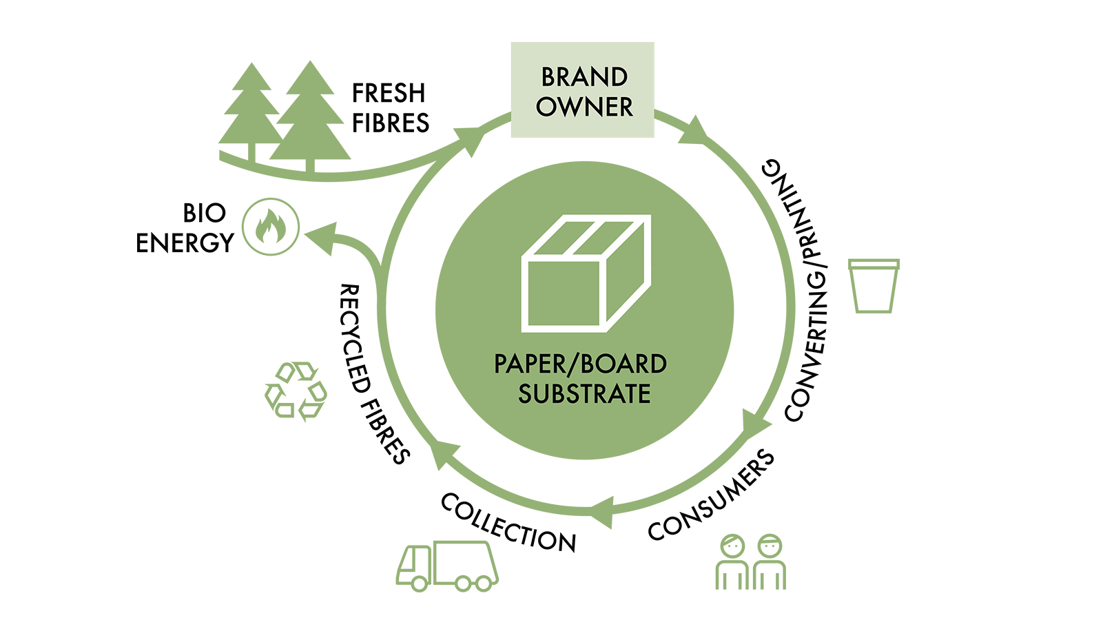 The path of packaging through the circular economy - Swedish Forest ...