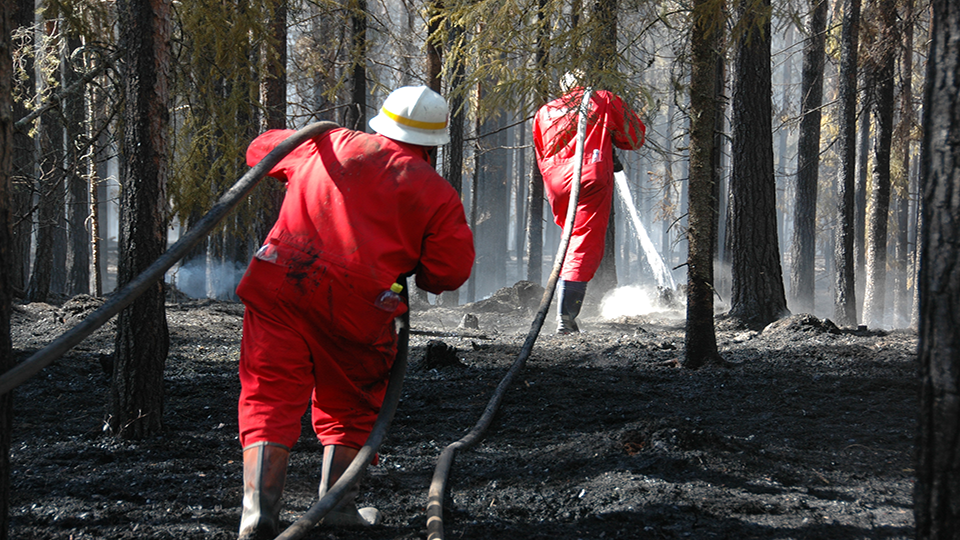 Are forest fires becoming more frequent? - Swedish Forest Industries ...